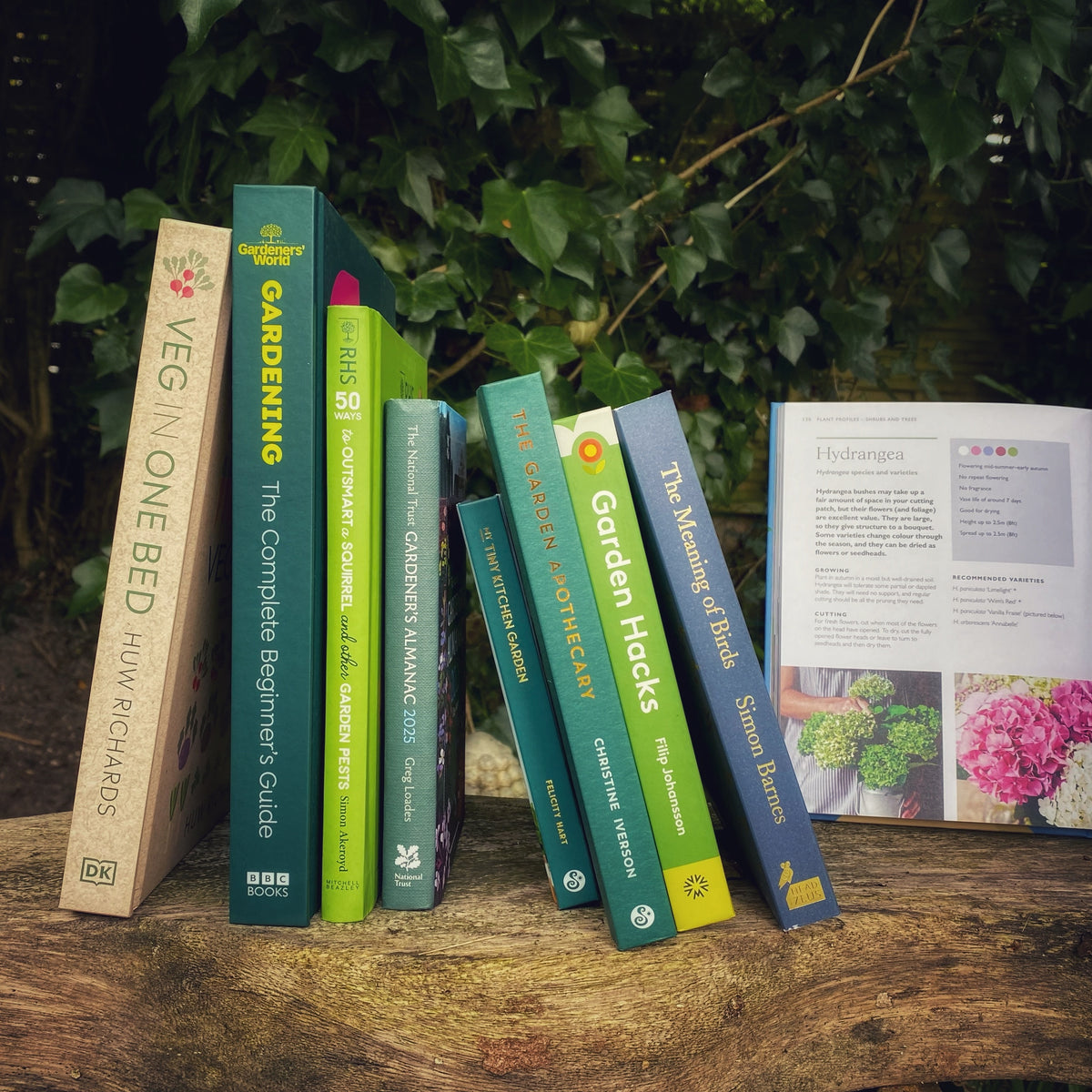 Build a Garden Gift Hamper- Books & Games – Izzy's Garden