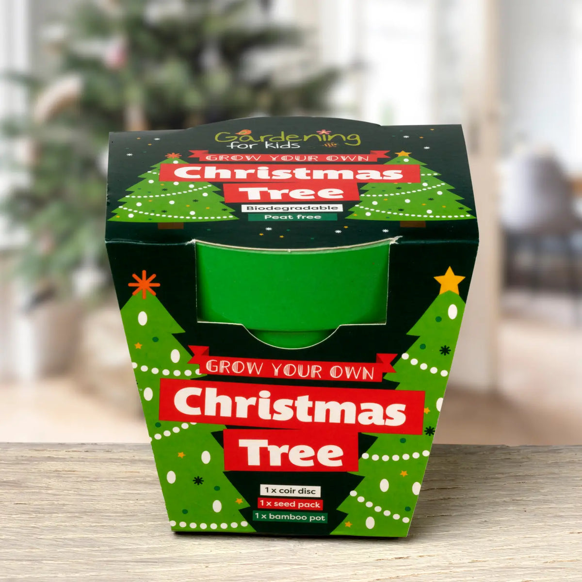 Grow Your Own Christmas Tree – Izzy's Garden